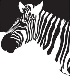 Dripping zebra silhouette Royalty Free Vector Image