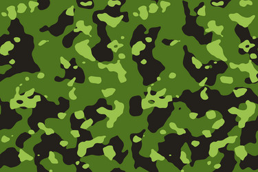 Colorful camouflage multi color camo military Vector Image