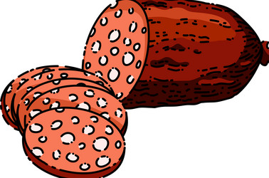 Mortadella salami sketch hand drawn Royalty Free Vector