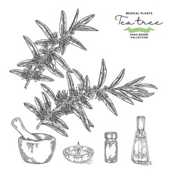 Australian Botanical Vector Images (over 500)