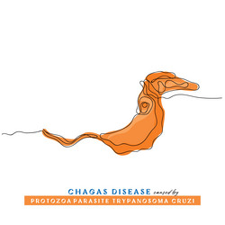 Chagas Disease Vector Images (21)