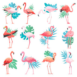 Flamingo Bird Flame Vector Images (40)