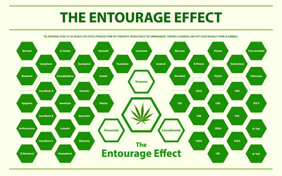 Entourage Vector Images (over 660)