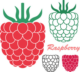 Raspberry Vector Images (over 29,000)