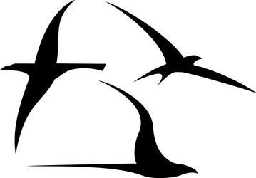 Soar Vector Images (over 5,500)