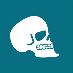 Cranium Skull Nose Vector Images (39)