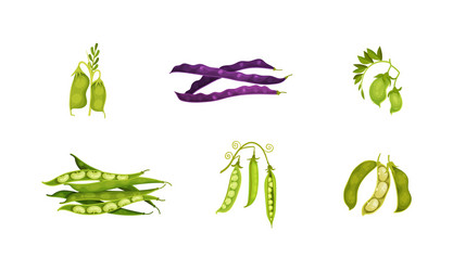 Legumes Vector Images (over 8,100)