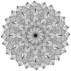 Contour mandala with floral motifs meditative Vector Image
