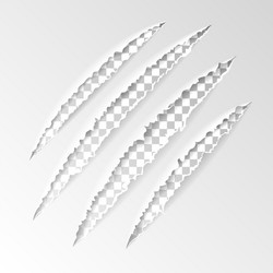 Slash cut scratches realistic monster claw marks Vector Image