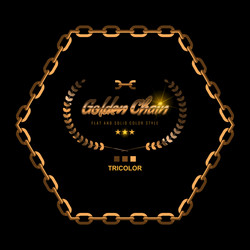 Golden chain square border frame circle border Vector Image