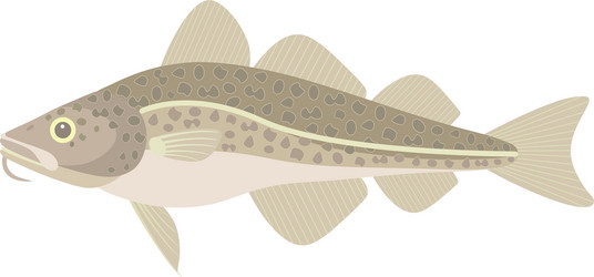 Cod Fish Vector Images (over 3,000)