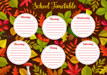 Cartoon toucan birds education timetable schedule Vector Image