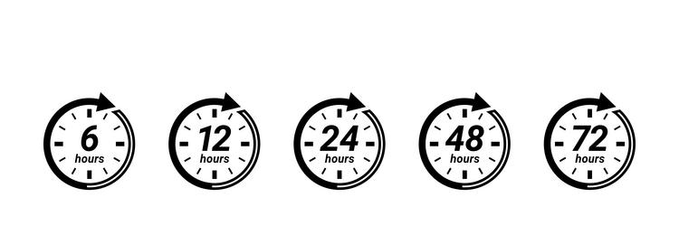 Hour icon with 12 and 24 clock formats for 48h Vector Image