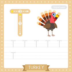 Turkey Flashcard Vector Images (39)
