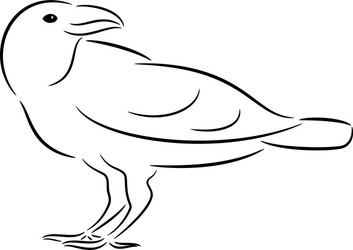 Raven and Quill Vector Images (56)