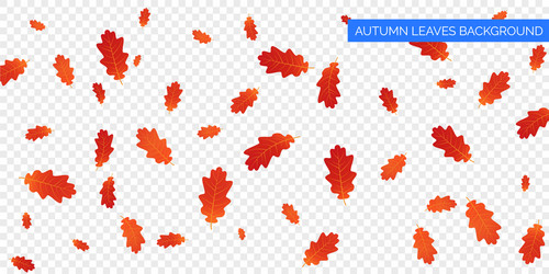 Autumn falling leaves on transparent background Vector Image