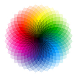 Color wheel Royalty Free Vector Image - VectorStock