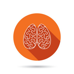 Neurology icon human brain sign Royalty Free Vector Image