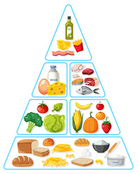 Food Pyramid Clipart