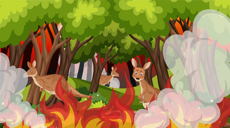 Cute Animal Cartoon Vector Images (over 730,000)