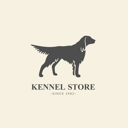 Realistic irish setter Royalty Free Vector Image