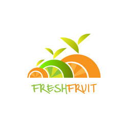 Modern business fresh orange fruit logo suitable Vector Image
