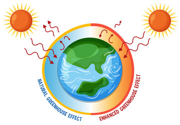 Greenhouse effect and global warming diagram Vector Image