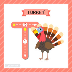 Turkey Flashcard Vector Images (39)