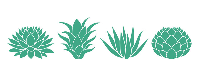 Agave Plant Vector Images (over 4,300)