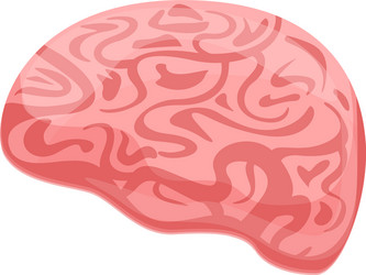 Human Memory Vector Images (over 16,000)