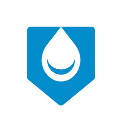 Water shield logo icon design template elements Vector Image