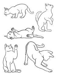 Cat line on a white background 06 Royalty Free Vector Image