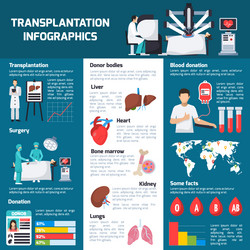Transplantation flowchart layout Royalty Free Vector Image