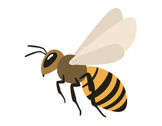 Bee Side View Vector Images (88)