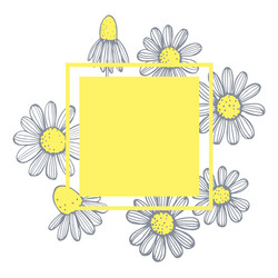 Frame with hand drawn chamomile flowers Royalty Free Vector