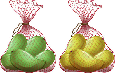 Oranges in net bag cartoon style isolated Vector Image