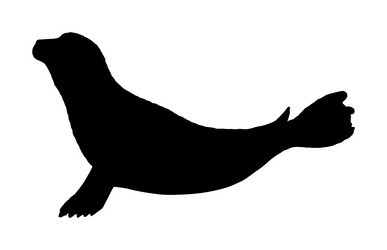 Harbour Vector Images (over 3,200)