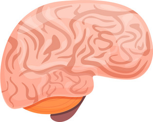 Human brain side icon cartoon style Royalty Free Vector