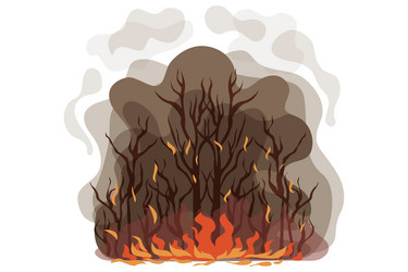 A forest fire Royalty Free Vector Image - VectorStock