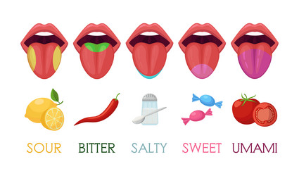 Human linguistic taste receptors flat Royalty Free Vector