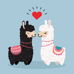Cute alpaca couple Royalty Free Vector Image - VectorStock