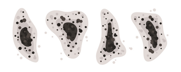 Black mold spots different shapes toxic Royalty Free Vector