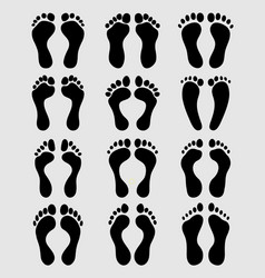 Feet Royalty Free Vector Image - VectorStock
