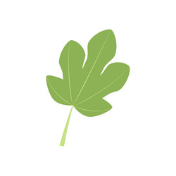 Fig Leaf Vector Images (over 2,600)