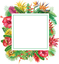 Summer tropical frame design Royalty Free Vector Image