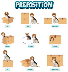 Preposition wordcard with word around and two dogs