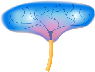 Sensory Vector Images (over 11,000)