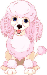 Poodle Vector Images (over 6,500)