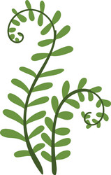 Curved Fern Vector Images (over 190)