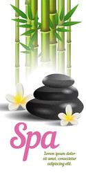 Spa zen stones and frame bamboo Royalty Free Vector Image
